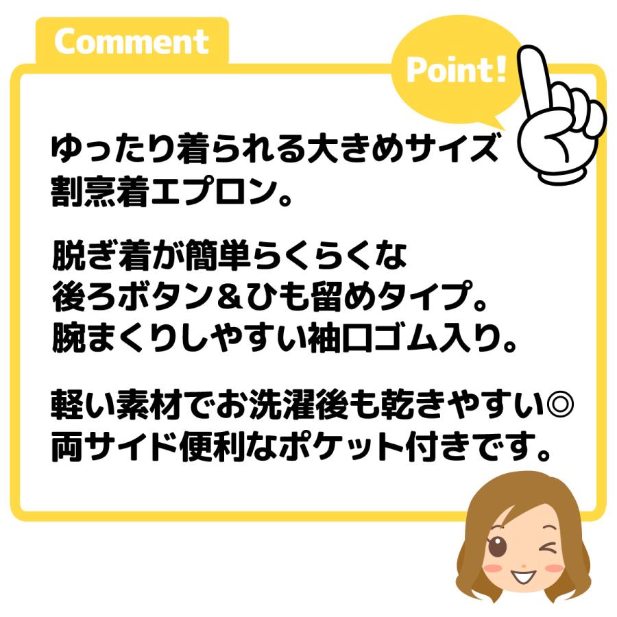 送料無料 大きいサイズ 婦人 レディース 割烹着 エプロン 後ろボタン＆ひも留め ギンガムチェック柄 うさぎ くま刺繍ワッペン 2L-3L sl-0457 メール便対応 : オンスタイル ...
