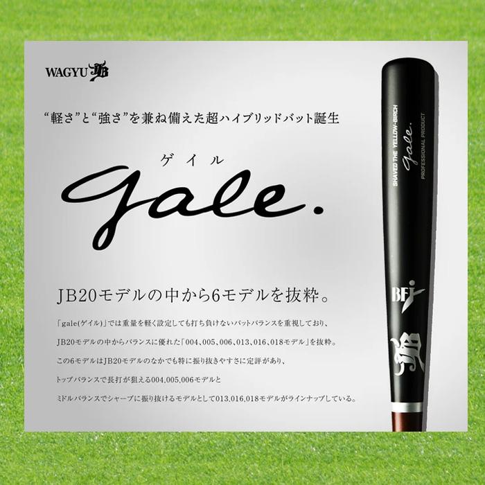 WAGYU 和牛JB 硬式木製バット Gale バーチ材軽量モデルバット 84cm 855g GALE-013 :gale-013:スポーツ用品店ダッシュ - 通販 - Yahoo!ショッピング