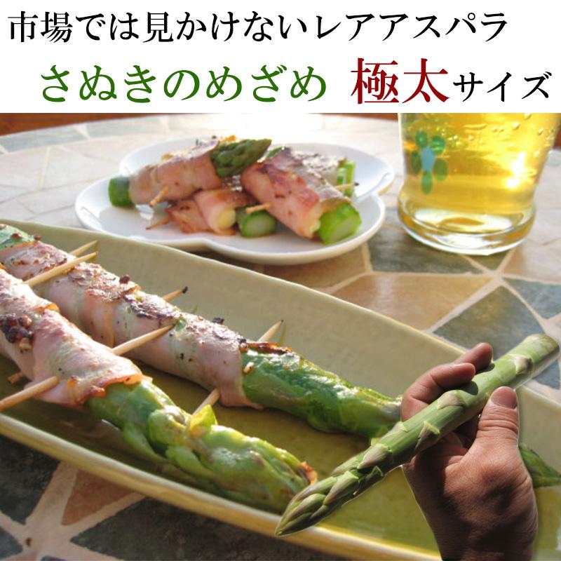 さぬきのめざめ アスパラガス 極太サイズ 2L〜3L 1kg 500g×2束 香川県産 : 瀬戸内の珍味 網元大将 - 通販 - Yahoo!ショッピング