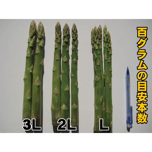 さぬきのめざめ アスパラガス 極太サイズ 2L〜3L 1kg 500g×2束 香川県産 : 瀬戸内の珍味 網元大将 - 通販 - Yahoo!ショッピング
