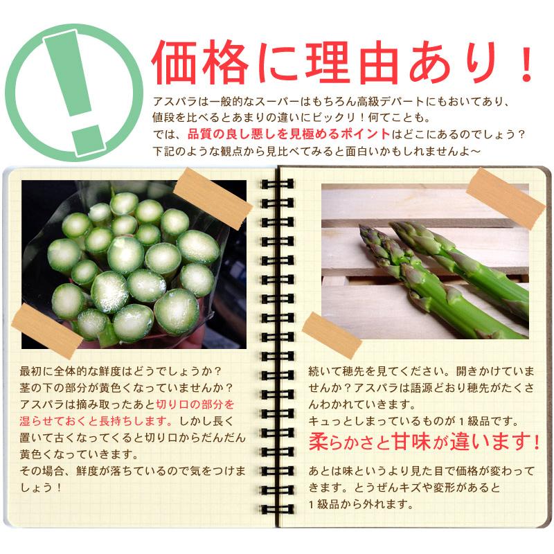 さぬきのめざめ アスパラガス 極太サイズ 2L〜3L 1kg 500g×2束 香川県産 : 瀬戸内の珍味 網元大将 - 通販 - Yahoo!ショッピング