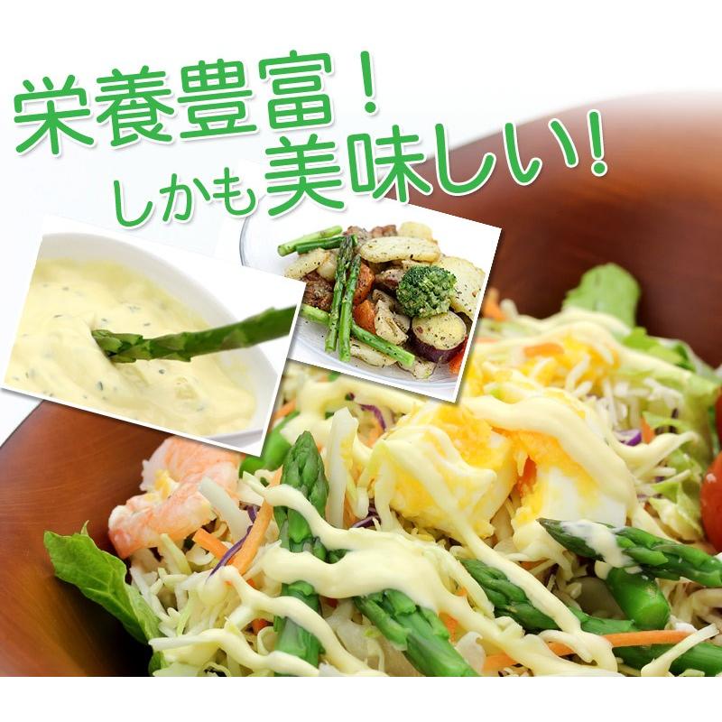 さぬきのめざめ アスパラガス 極太サイズ 2L〜3L 1kg 500g×2束 香川県産 : 瀬戸内の珍味 網元大将 - 通販 - Yahoo!ショッピング