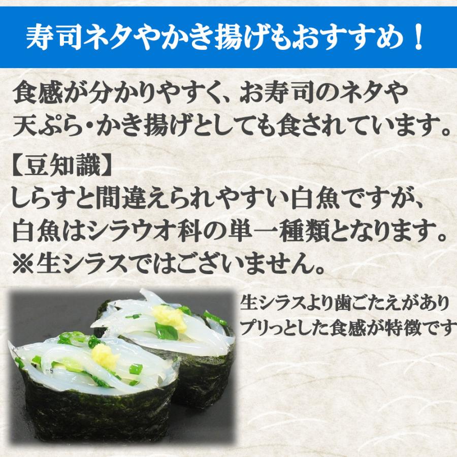 茨城県産 白魚 200g×3パック 計600g 生食用 刺身 冷凍 : sirauo-3 : 瀬戸内の珍味 網元大将 - 通販 - Yahoo!ショッピング