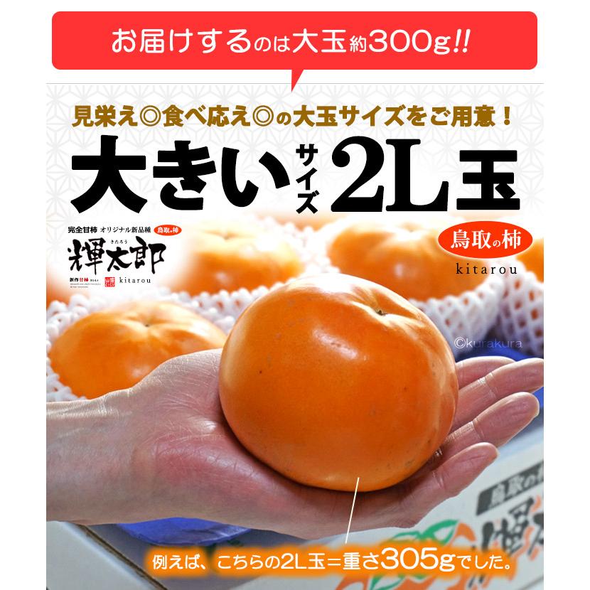 輝太郎 柿 2L (約1.8kg) 鳥取産 秀品 きたろう キタロウ 大玉 甘柿 高糖度 甘い 種なし柿 たねなし柿 種無し柿 persimmon 食品 フルーツ 果物 ギフト 贈答 ...