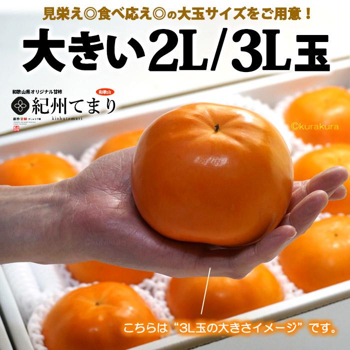 新品種 紀州てまり 柿 2L-3L (約1.6kg) 和歌山産 秀品 大玉 オリジナル 甘柿 早秋柿 太秋柿 高糖度 甘い 種なし柿 たねなし柿 種無し柿 種無しかき persimmon ...