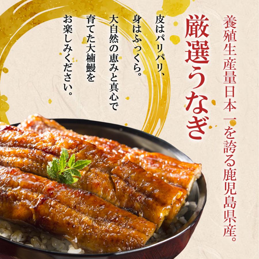大楠うなぎ 蒲焼き 130g〜140g 2尾 国産 鹿児島県産 鰻 お祝い ギフト 贈り物 送料無料 化粧箱入り タレ 山椒 : うなぎの大楠 - 通販 - Yahoo!ショッピング