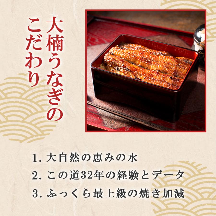 大楠うなぎ 蒲焼き 130g〜140g 2尾 国産 鹿児島県産 鰻 お祝い ギフト 贈り物 送料無料 化粧箱入り タレ 山椒 : うなぎの大楠 - 通販 - Yahoo!ショッピング