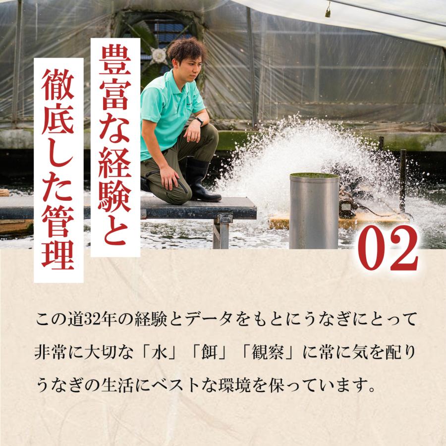 大楠うなぎ 蒲焼き 130g〜140g 2尾 国産 鹿児島県産 鰻 お祝い ギフト 贈り物 送料無料 化粧箱入り タレ 山椒 : うなぎの大楠 - 通販 - Yahoo!ショッピング