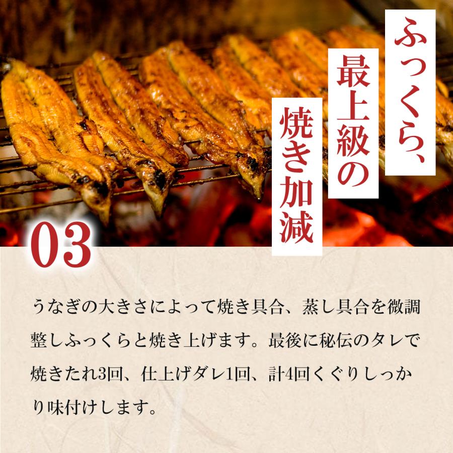 大楠うなぎ 蒲焼き 150g〜160g 3尾 国産 鹿児島県産 鰻 お祝い ギフト 贈り物 送料無料 化粧箱入り タレ 山椒 : うなぎの大楠 - 通販 - Yahoo!ショッピング