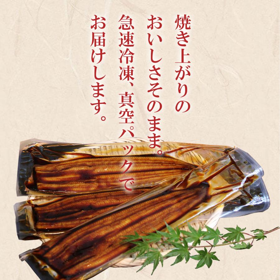 大楠うなぎ 蒲焼き 150g〜160g 3尾 国産 鹿児島県産 鰻 お祝い ギフト 贈り物 送料無料 化粧箱入り タレ 山椒 : うなぎの大楠 - 通販 - Yahoo!ショッピング