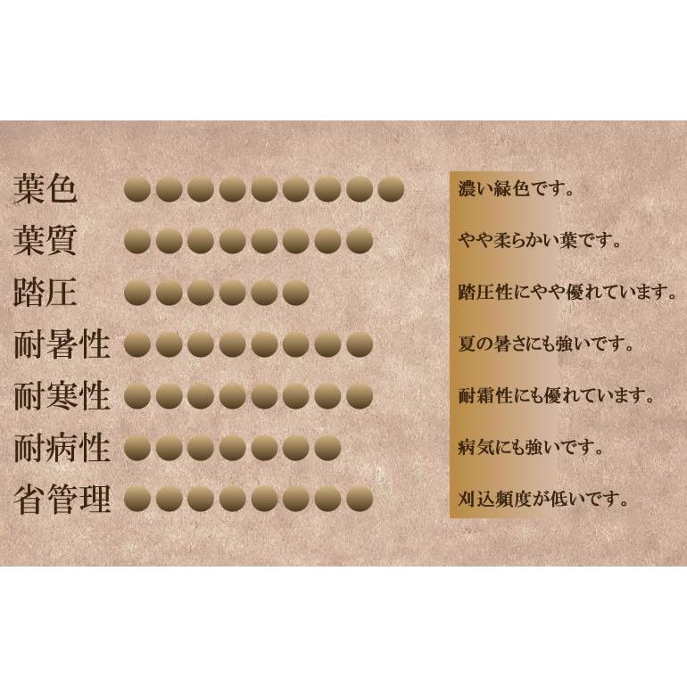 【普通便】芝生 TM9 2平米 鹿児島産 : turf-9 : プロジェクト鹿児島 - 通販 - Yahoo!ショッピング