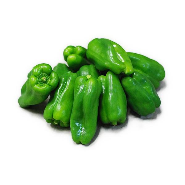 九州産 ピーマン た〜ぷり500g 【九州・宮崎・大分産】 : おおつる青果 - 通販 - Yahoo!ショッピング