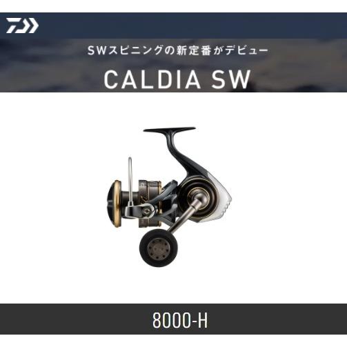 DAIWA(釣り) ダイワ 22 カルディア SW 8000-H : オープン DAIWA(釣り) ダイワ 22 カルディア SW 8000-H : オープン