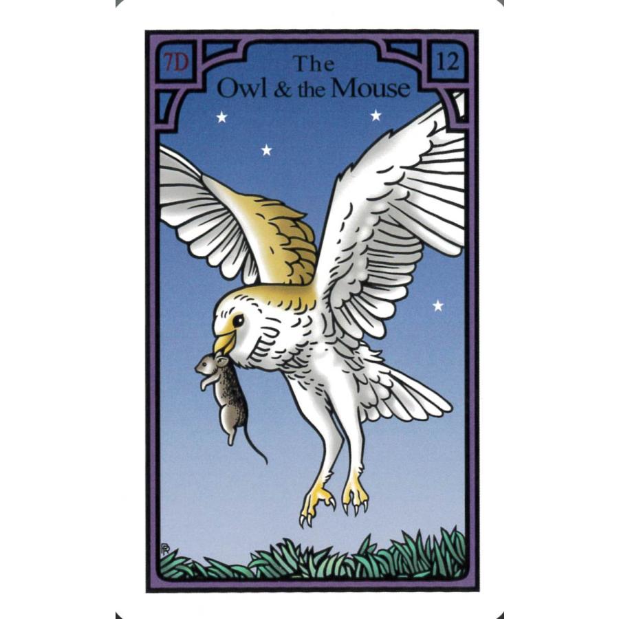 バーニングサーペントオラクルデッキ（ロバート・M・プレイス） The Burning Serpent Oracle Deck : 日本の ...