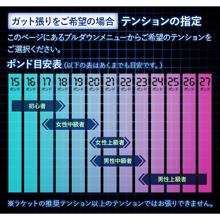 GOSEN ゴーセン バドミントンラケット コキュートス エッジ (フレームのみ) COCYTUS EDGE 5U6 ガンメタル(GM) BRCYED : スポーツショップ日新 ヤフー店 ...
