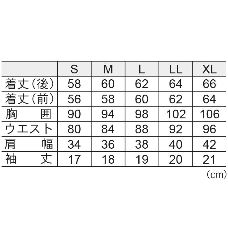 GOSEN ゴーセン バドミントン ゲームシャツ T2441 レディース 女性用 ゲームウェア ユニフォーム テニス ソフトテニス 日本バドミントン協会検定合格品 : スポーツショップ日新 ...