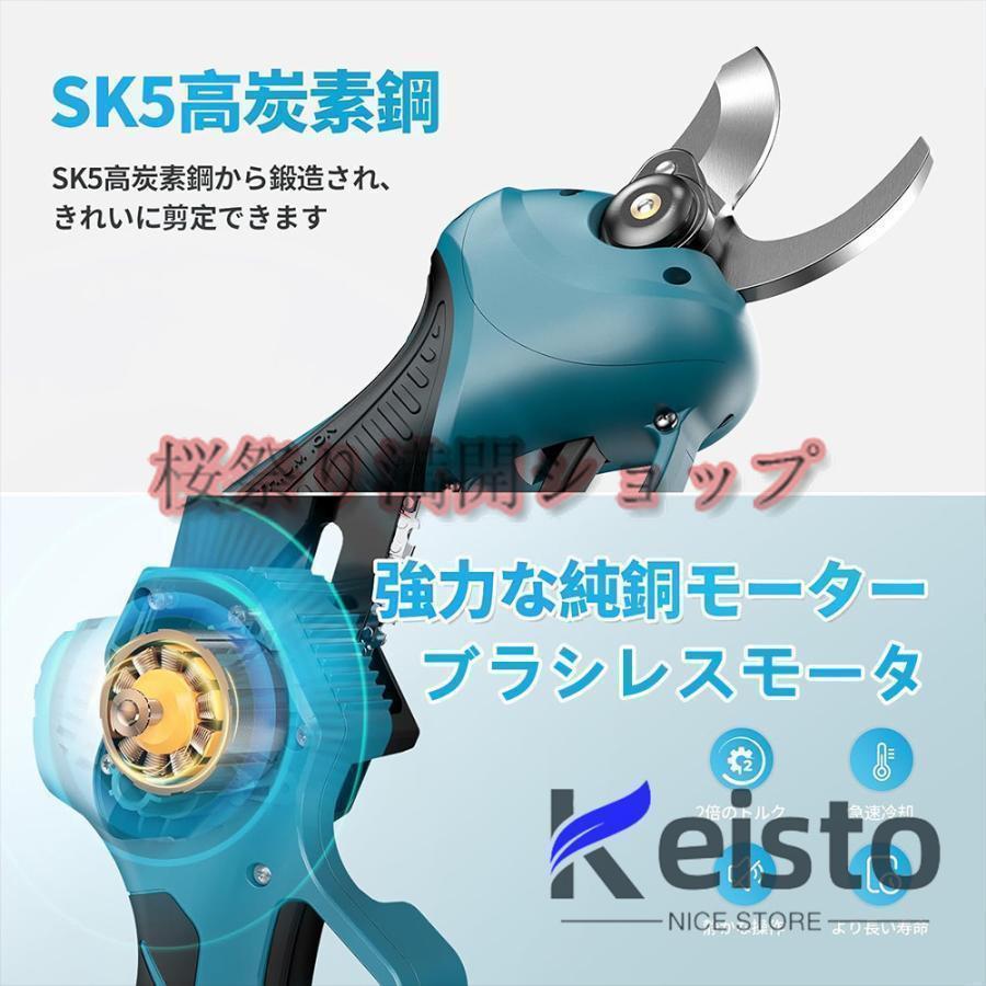 高枝切り 電動チェーンソー バッテリー対応 剪定ハサミ 切断径30mm 電動 高枝切りバサミ 伸縮式延長ポールの長さ170cm-235cm 強力 木工切断 : KAOMORI - 通販 ...