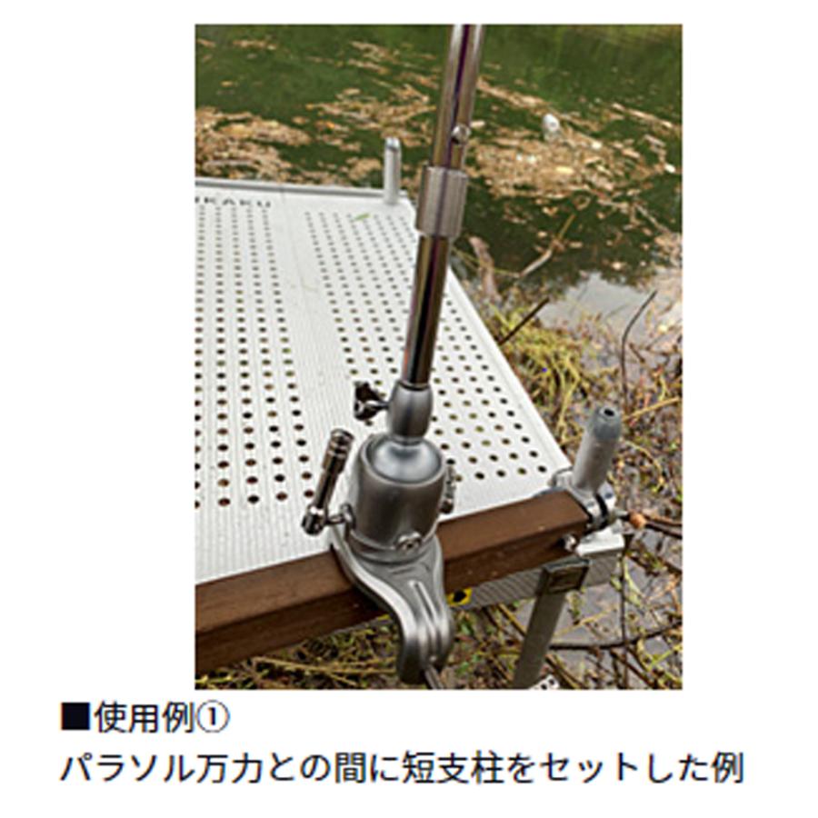 ダイワ GINKAKU S-227 BIGパラソル短支柱10(ginkaku-036450) : オリオク - 通販 - Yahoo!ショッピング