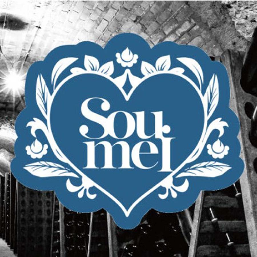 SOUMEI ソウメイ ブリュットナチュール（ブルー） 750ml : 114454 : お酒市場 - 通販 - Yahoo!ショッピング