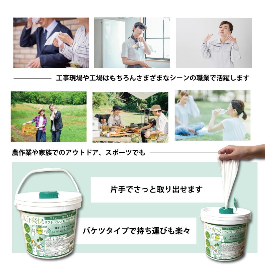 【詰め替え用】リフレッシュロングタオル 123枚入り 大容量 SB11 大判タイプ ウェットタオル 体拭きシート 汗拭きシート 冷たい メントール 冷感 冷却 外仕事 : オーシン オンライン ...