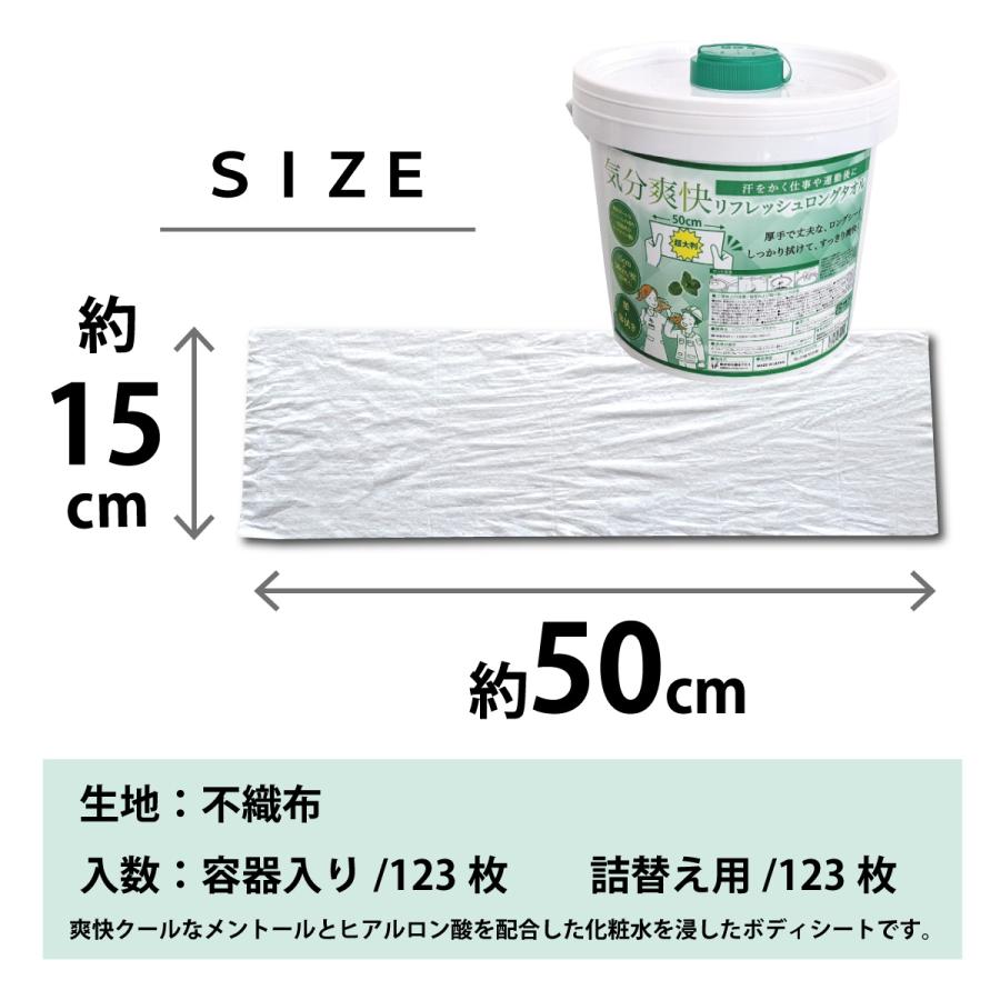 【詰め替え用】リフレッシュロングタオル 123枚入り 大容量 SB11 大判タイプ ウェットタオル 体拭きシート 汗拭きシート 冷たい メントール 冷感 冷却 外仕事 : オーシン オンライン ...