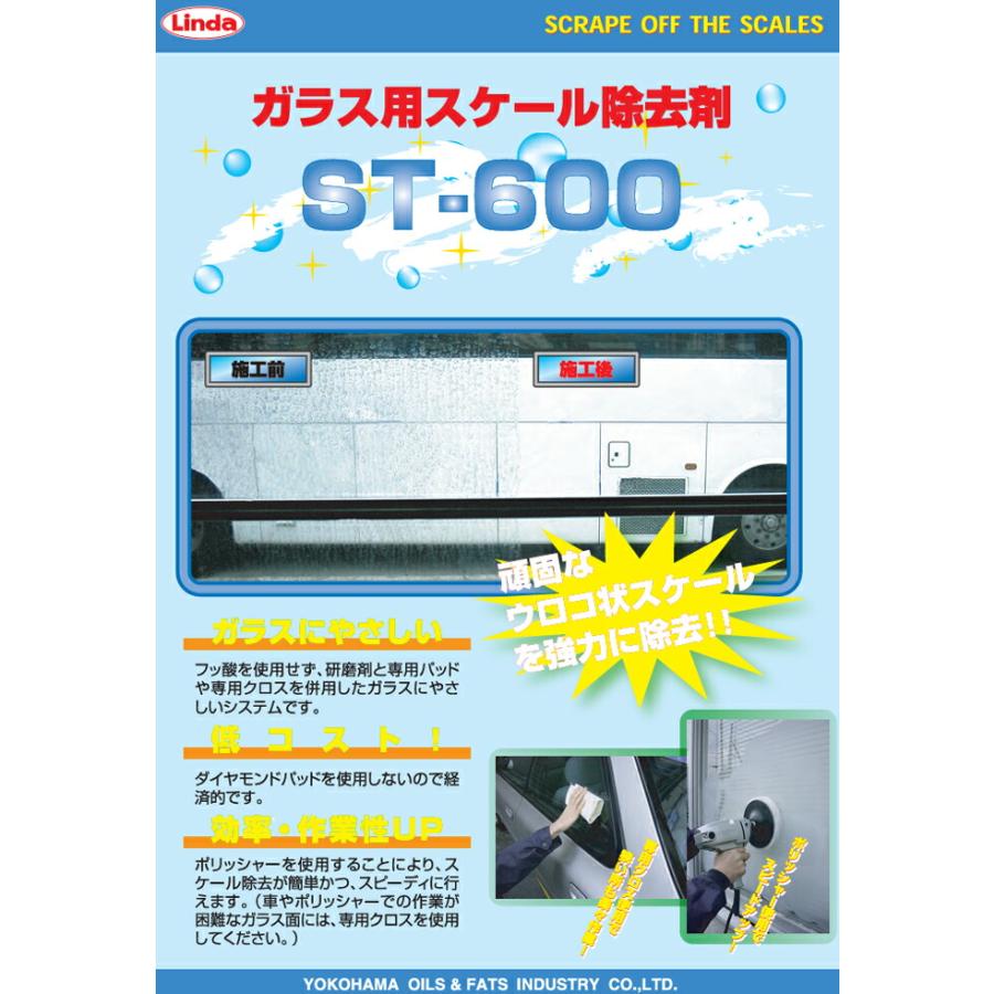 2本セット ガラス用スケール除去剤 横浜油脂工業 ST−600 420ml : お掃除ショップ - 通販 - Yahoo!ショッピング