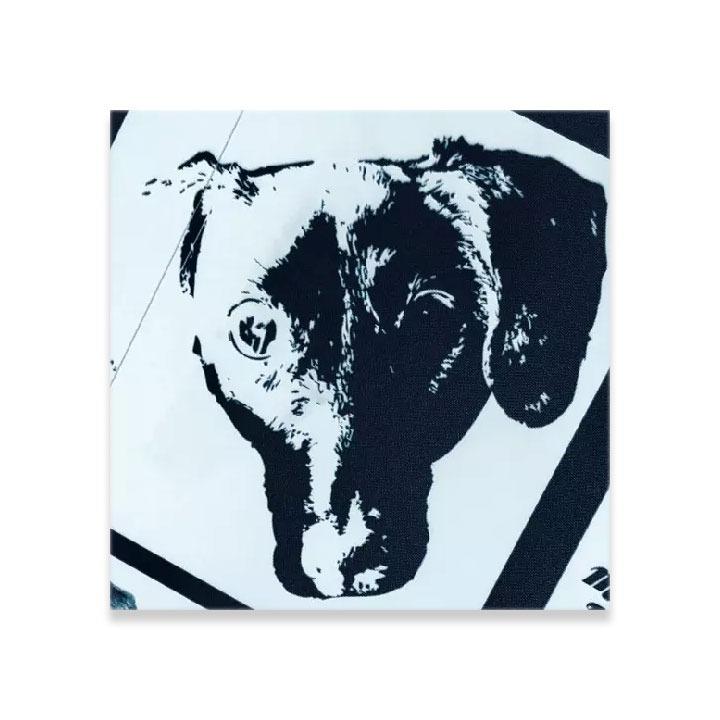 MICHAEL LEONHART マイケル・レオンハート / DANIAL ANGER (PICTURE SLEEVE) Mighty Eye ...