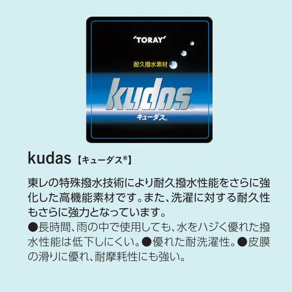 kasco Kasco キャスコ メンズ ゴルフ レインウェア 「上下セット」ARW-007 246338 : お宝ゴルフドットコム - 通販 - Yahoo!ショッピング