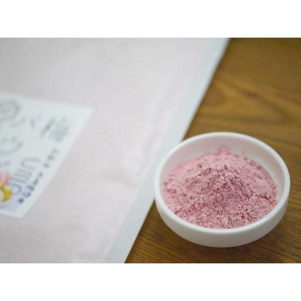 梅 パウダー（100g）kc :powder-ume-100:おたまやヤフーショップ - 通販 - Yahoo!ショッピング