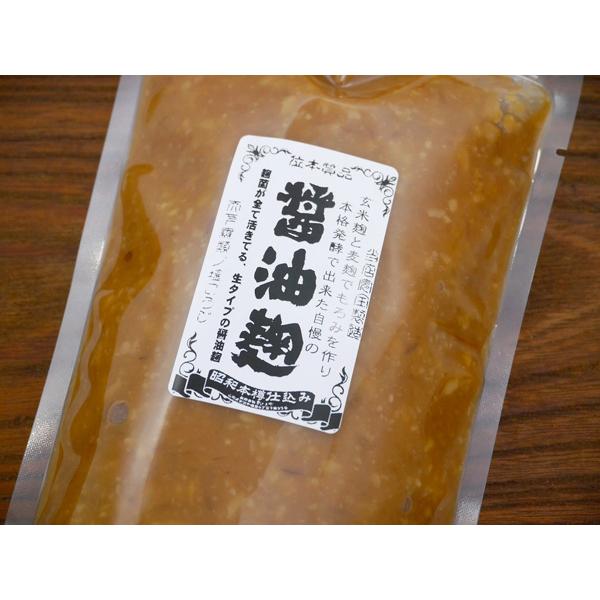 醤油麹（370gパウチ） : shoyukoji-400 : おたまやヤフーショップ - 通販 - Yahoo!ショッピング