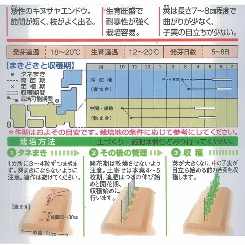 【きぬさやエンドウ】矮性赤花絹莢（つるなし）〔固定種0061〕/小袋（18ml） : 家庭菜園 太田シード ヤフー店 - 通販 - Yahoo!ショッピング