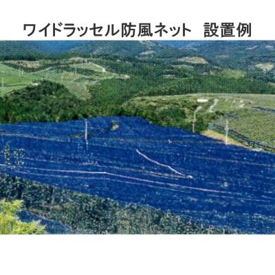 日本ワイドクロス ワイドラッセル防風ネット BL600 (ブルー) 目合6mm 巾400cm×長さ50m : 0405429847005 : 農家のお店おてんとさん - 通販 - Yahoo ...