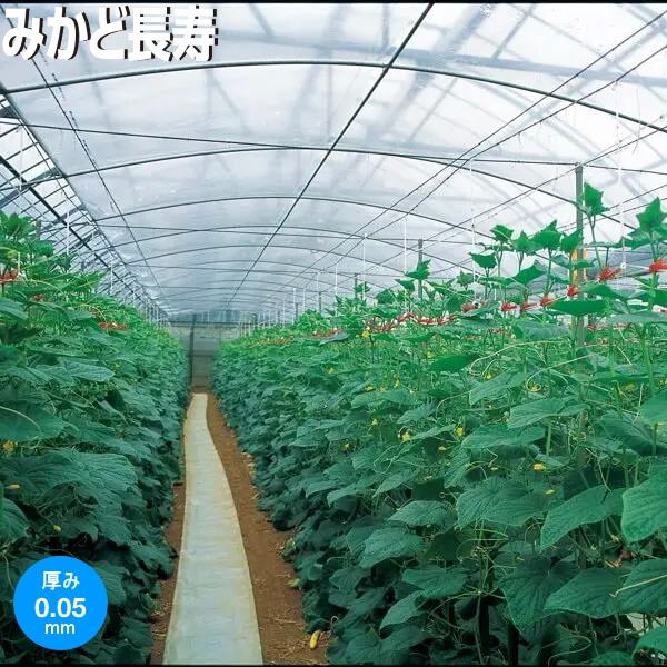みかど化工 農POフィルム みかど長寿 LL50A 厚さ0.05mm 幅540cm 数量に長さ(m)を入力 カーテン・外張り用 ...