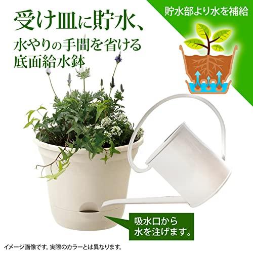 リッチェル 底面給水鉢 ウルオ ポット 25型N ベージュ 日本製 701013 土容量 4.4L、水容量 0.8L : 雑貨屋 ...
