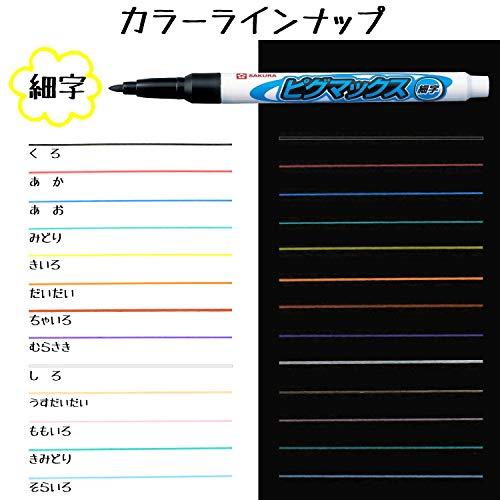 サクラクレパス 水性ペン ピグマックス 細字 ZPK-S10P 白 10本 : no793024d391 : 雑貨屋MelloMellow - 通販 - Yahoo!ショッピング