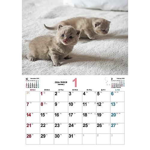 【S17】 こねこのせかい 2024 Kitten Calendar (永岡書店のカレンダー) : 雑貨屋MelloMellow - 通販 - Yahoo!ショッピング