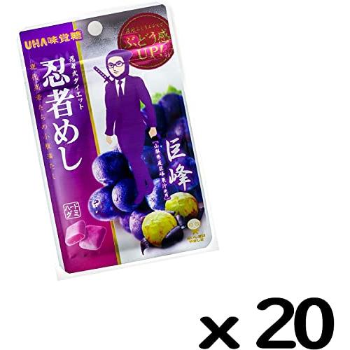 味覚糖 忍者めし巨峰 2PACK 計20個 : 雑貨屋MelloMellow - 通販 - Yahoo!ショッピング