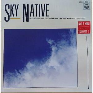 NAO&NOBU (河合奈保子、高橋伸明）SKY NATIVE 中古アイドルCD : 音吉プレミアム - 通販 - Yahoo!ショッピング