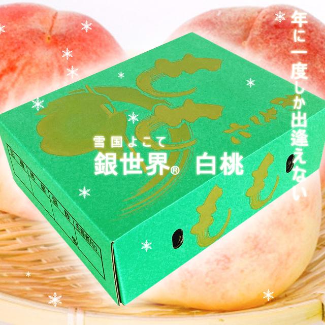 【終売】雪国よこて銀世界 白桃 2kg 6〜8玉入 秋田県 横手産 JA秋田ふるさと 全国発送 9月中旬まで出荷予定 : 秋田のうまいもんネット通販 創業八十年 桜竹 - 通販 - Yahoo ...