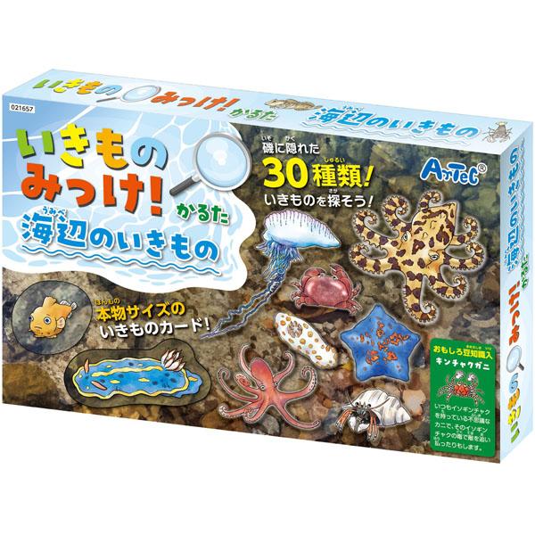 アーテック いきものみっけ！かるた うみべのいきもの こども 幼児向け おもちゃ 知育玩具 21657 : oupace - 通販 - Yahoo!ショッピング