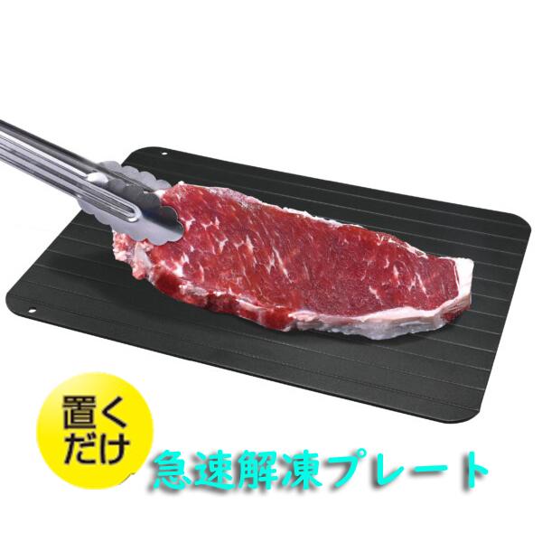 HAC 急速解凍プレート 置くだけ キッチン雑貨 料理 アウトドア キャンプ 鮮度維持 丸洗い可能 HAC4072 : oupace - 通販 - Yahoo!ショッピング
