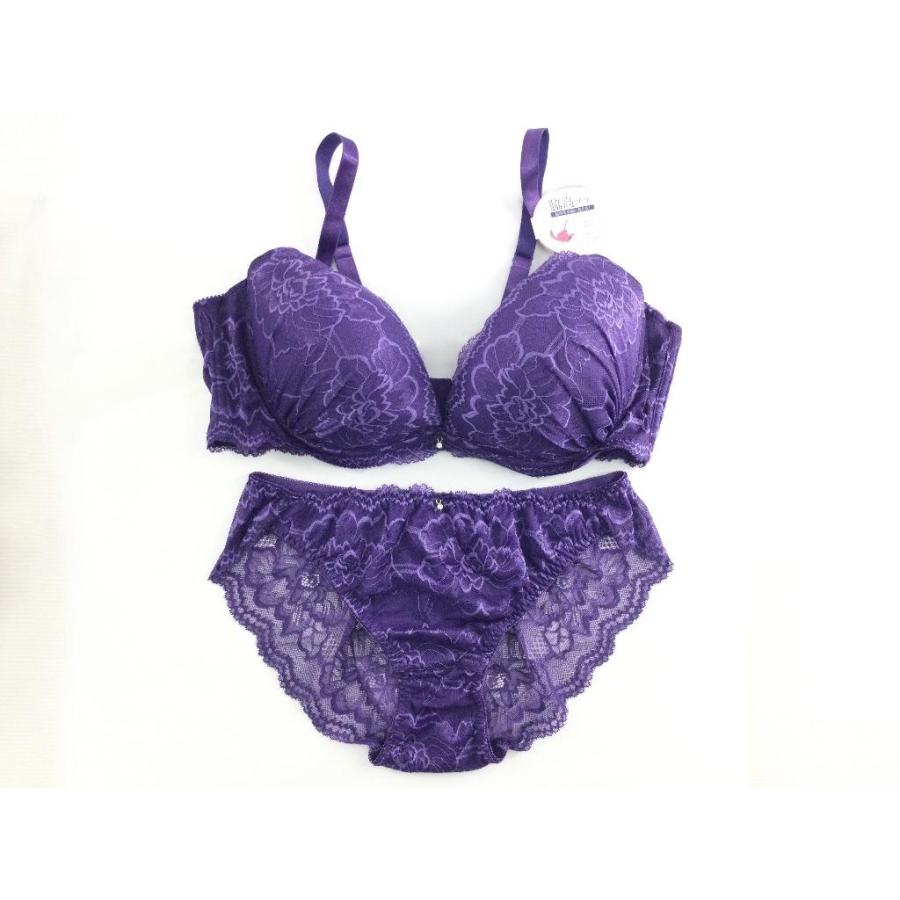 ブラジャー ショーツセット 脇高 総レース シンプル クラシック 大きいサイズ E95/4L パープル : t1283 : アウトレットン - 通販 - Yahoo!ショッピング