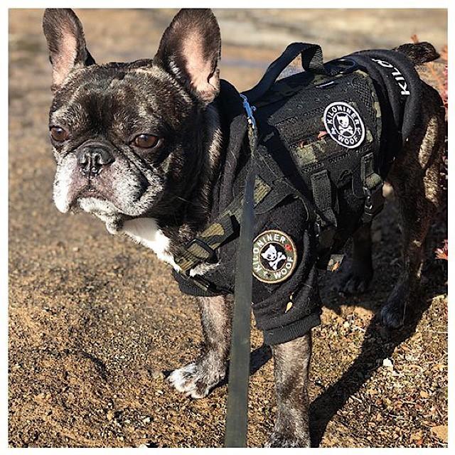 KILONINER(キロナイナー) Morale Patch mini （ミニパッチ） :KIL039:Out Tail Dog Outdoor Gear - 通販 - Yahoo!ショッピング