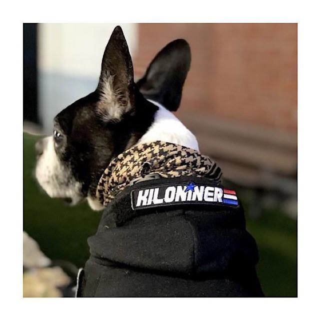 KILONINER(キロナイナー) Morale Patch mini （ミニパッチ） :KIL039:Out Tail Dog Outdoor Gear - 通販 - Yahoo!ショッピング