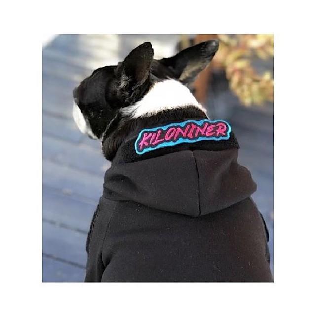 キロナイナー ラッドパッチ ピンク×ターコイズ ミニパッチ KILONINER RAD Patch Miami Vice4 Pink x Turquoise - mini Morale ...