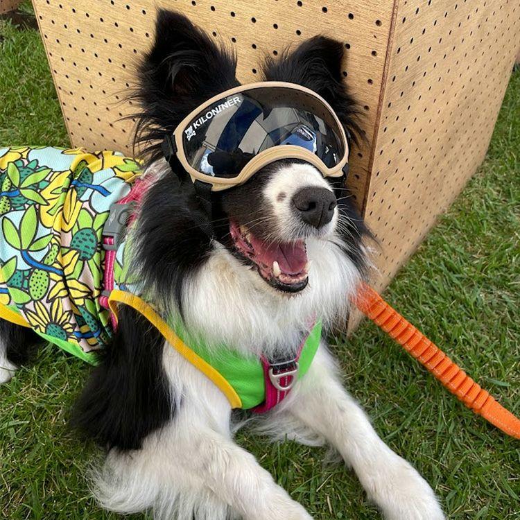 KILONINER R5 First shot Goggles S〜Mサイズ キロナイナー ゴーグル S〜Mサイズ/ ミリタリー オシャレ コーディネート : Out Tail Dog ...