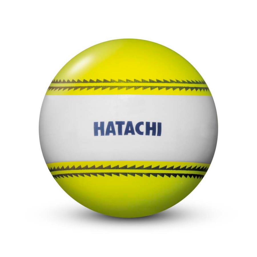HATACHI ハタチ BH3851 ナビゲーションボール グラウンドゴルフ ボール イエロー : ファッション雑貨オーバーフラッグ - 通販 - Yahoo!ショッピング