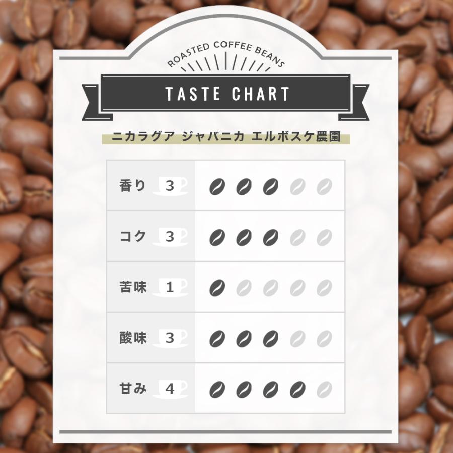 [中煎り] コーヒー豆 ニカラグア ジャバニカ エルボスケ農園 SHG 100g（3°／ミディアムロースト）／天日乾燥 スペシャルティコーヒー 自家焙煎 珈琲豆 小山珈琲 : オヤマコーヒー ...