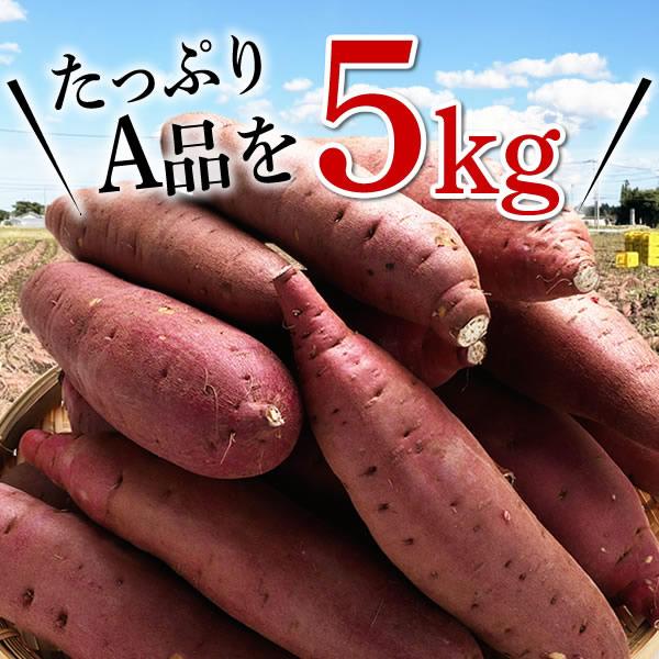 さつまいも 紅はるか 5kg M・Lサイズ 送料無料 サツマイモ さつま芋 千葉県産 国産 : 小山田商店 - 通販 - Yahoo!ショッピング