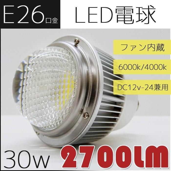 LED電球 E26 30w 2700lm 防水 船舶 漁船 室内電球 DC12v-24v兼用 口金 E26ソケット 電球色 6000k 3000k : dk-30w-dc : PandD ...